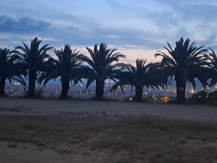 Writing Sanctuary - Barcellona