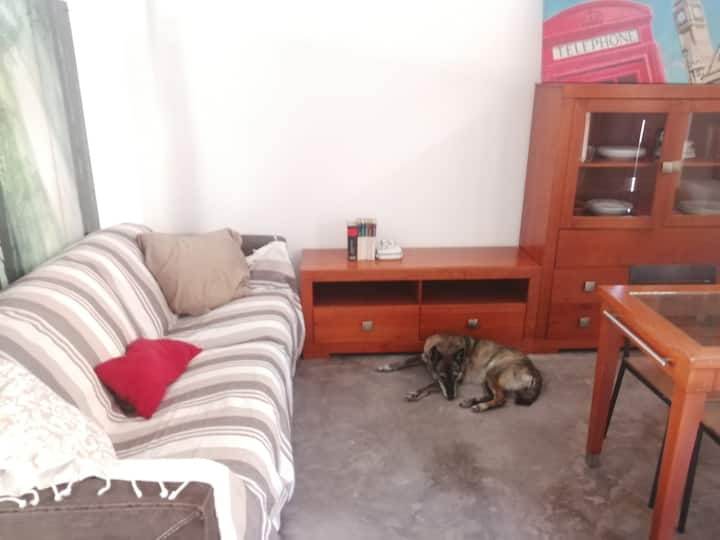 Planta Baja Vivienda
Un Ambiente Amplio - Valencia