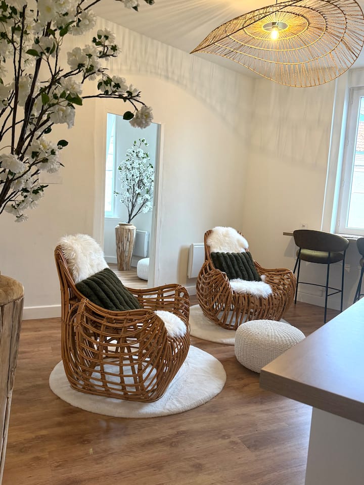 Brise Bohème Appartement Détente Baignoire Balneo - Calais