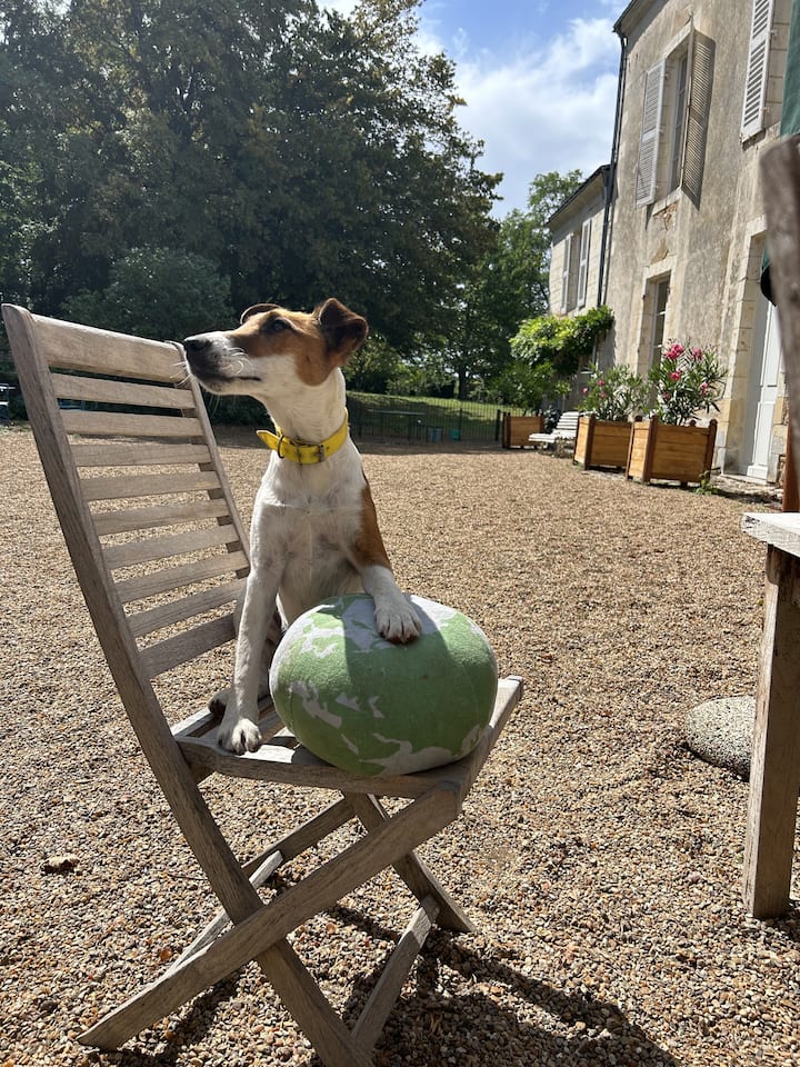 Maison De Campagne En Anjou - Beauvau