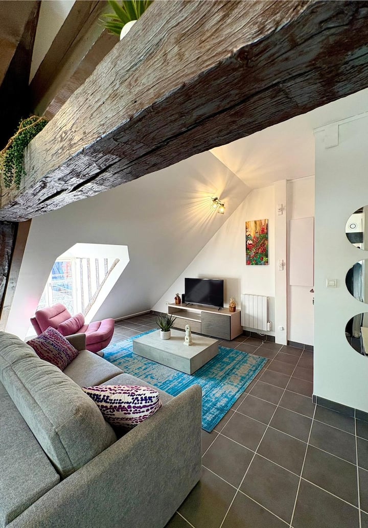 Offre De Lancement-charme & Calme Cœur De Troyes - Troyes