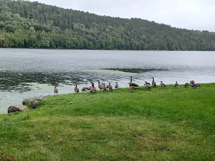 The Lake House - Greater Sudbury