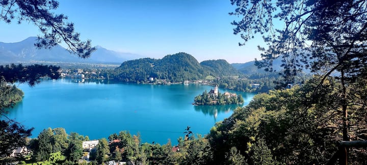 Bled  Lakeview Apartment  Elizabeth - Bled