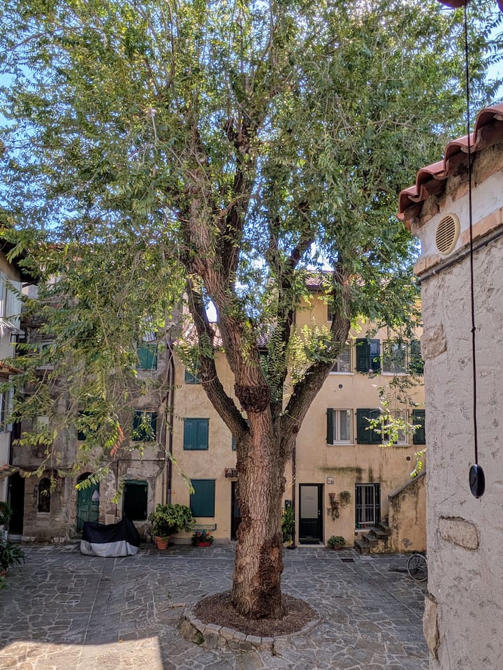 Casa Vianella - Grado