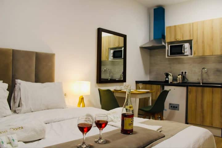 207~new Established Wi-fi~ac~kitchen~private Bath - Madrid