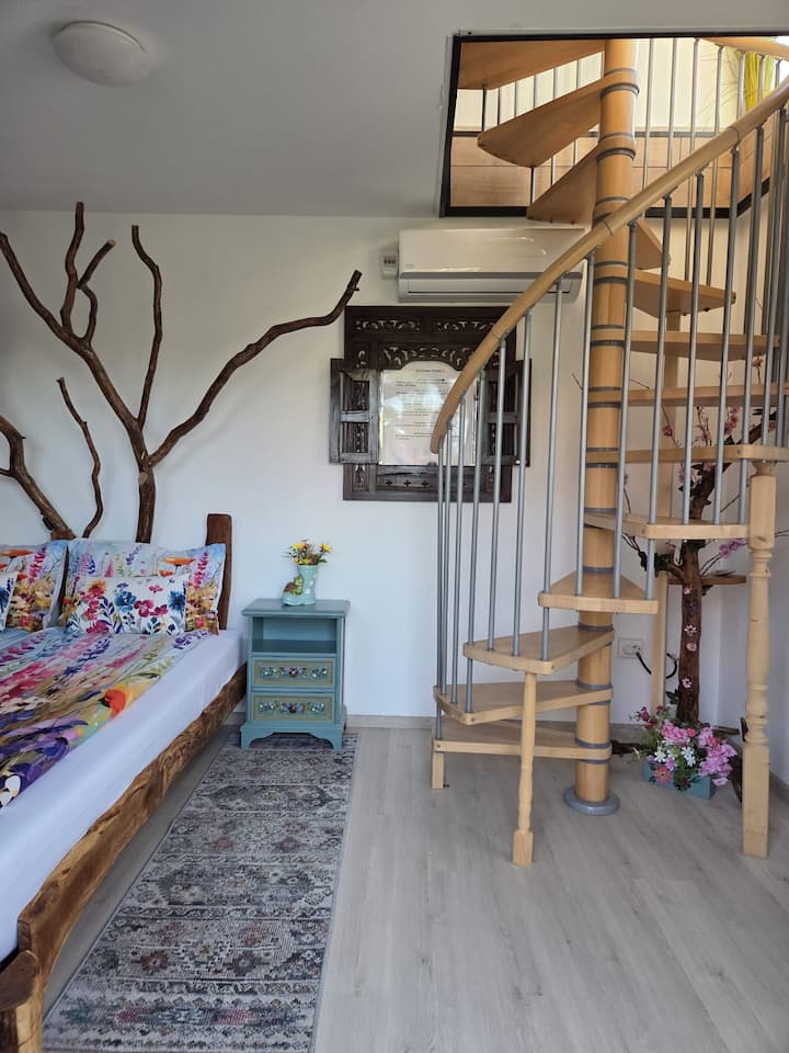 Magical Boot & Queen Room - Oradea