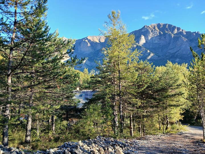 Gite De Groupe En Pleine Forêt - Embrun