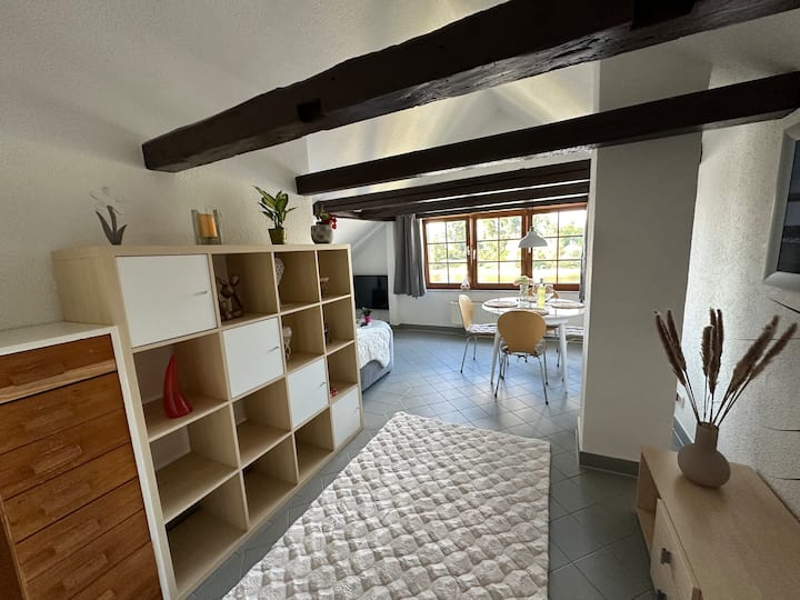 Stilvolle Wohnung Mit Elbblick - Heidenau
