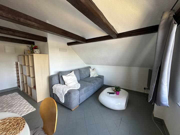 Stilvolle Wohnung Mit Elbblick - Heidenau