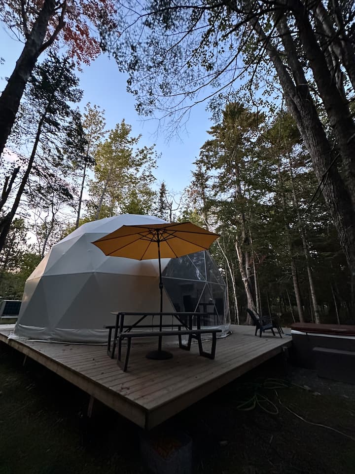 Dome#2 - St. Andrews