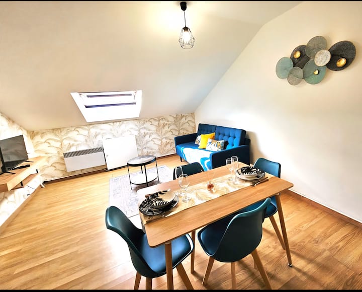 Chaleureux Appartement - ibis Charleville Mezières