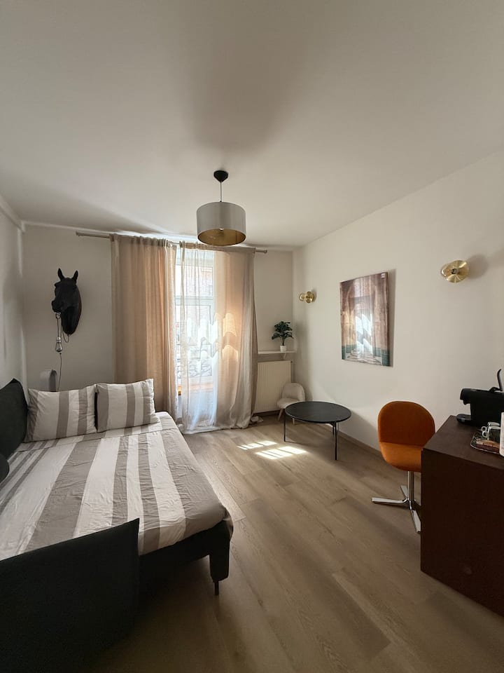 Charmant Studio En Centre-ville - Lac du Bourget