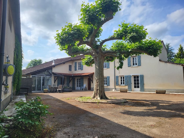 Gîte Fenoules - Lavaur