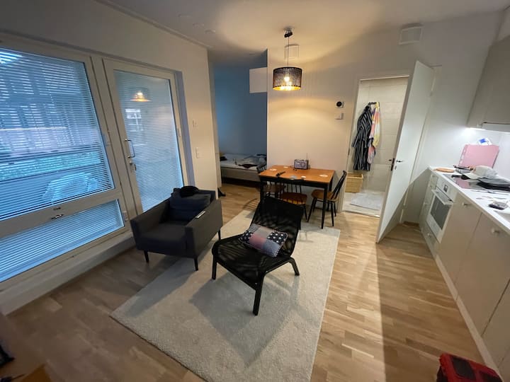 Siisti Yksiö Ranta-tampellassa - Tampere