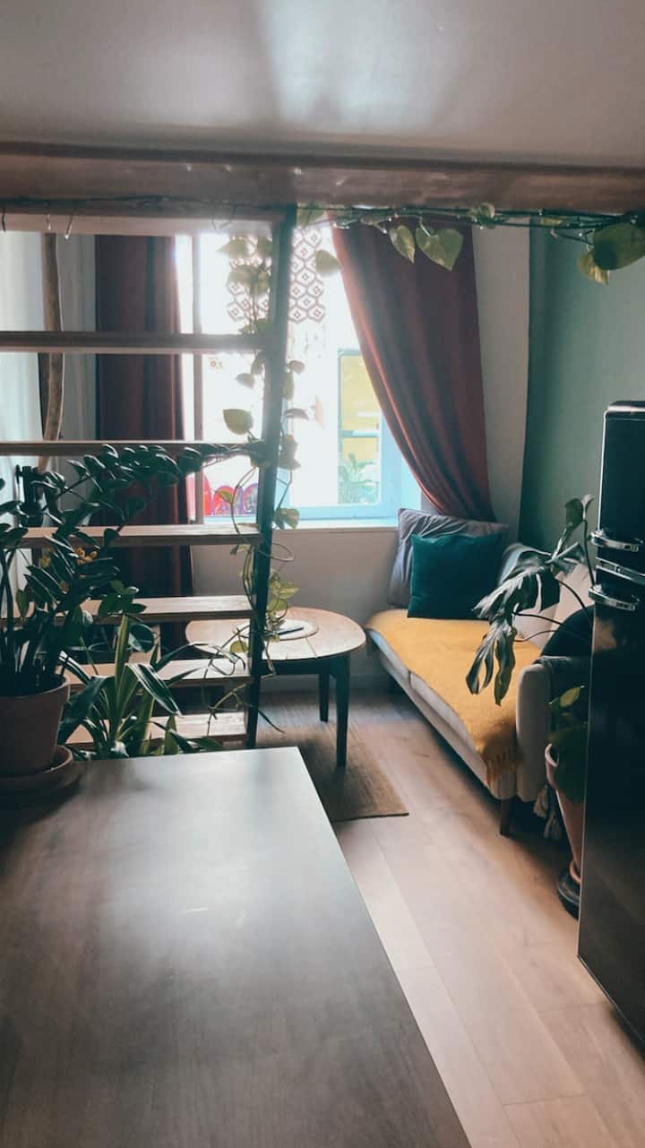Mini Loft Perché à Croix Rousse - Lyon