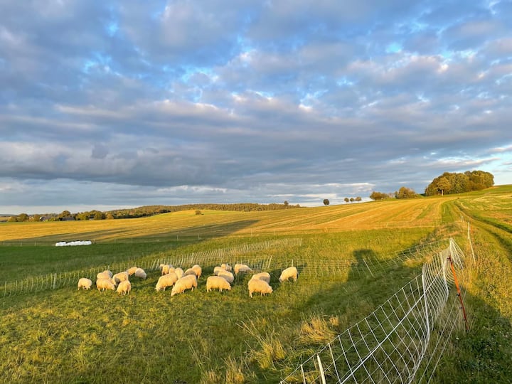 Monteur- Und Ferienwohnung - Wolkenstein