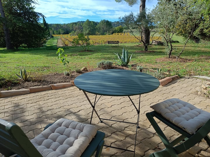 Gîte Provençal Entre Vignes Et Amandiers - Rognes