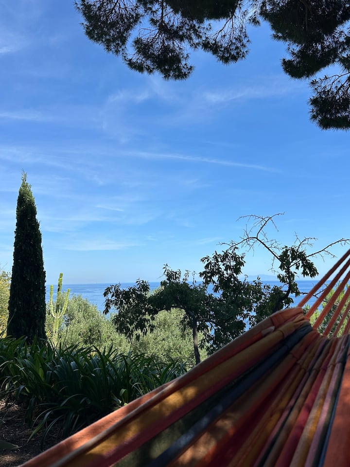 Villa Cap Corse - Port de Bastia