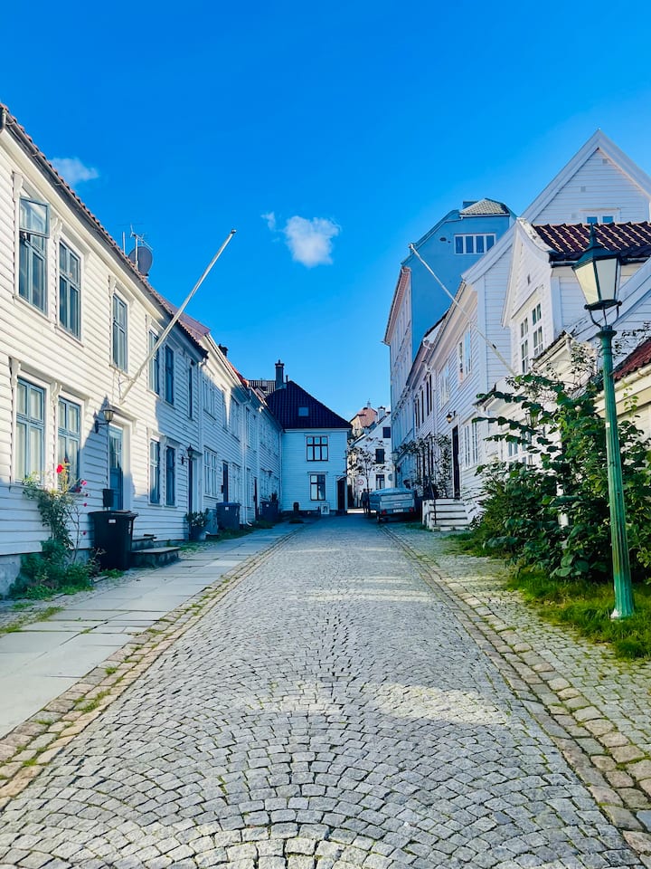 Skuteviken – Koselig Og Sentralt - Bergen