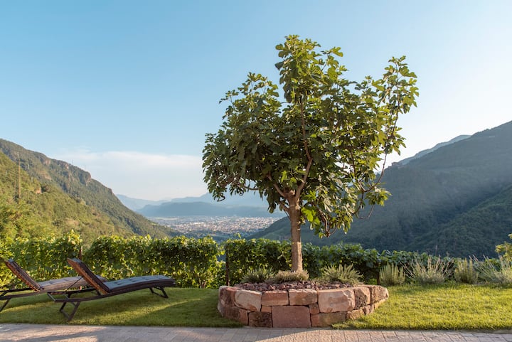 [Langegger 1956] Relax Con Vista A 10 Min Bolzano - Ritten