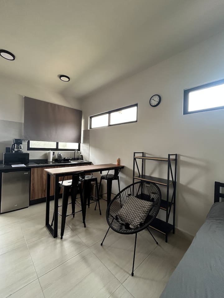 Depa Loft Cerca De Tangamanga I Col Jardín - San Luis Potosí