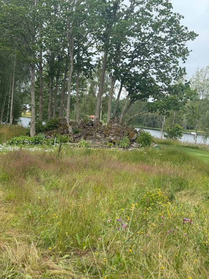 Lilla Roten - Öland