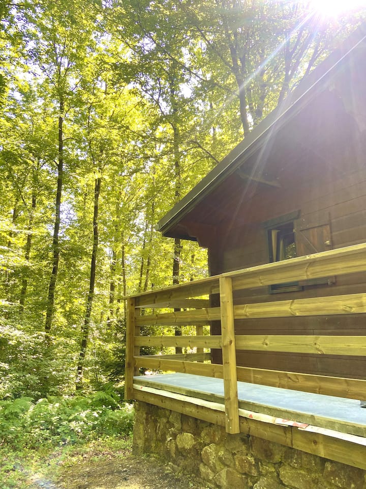 Chalet 8 Personnes - Viroinval