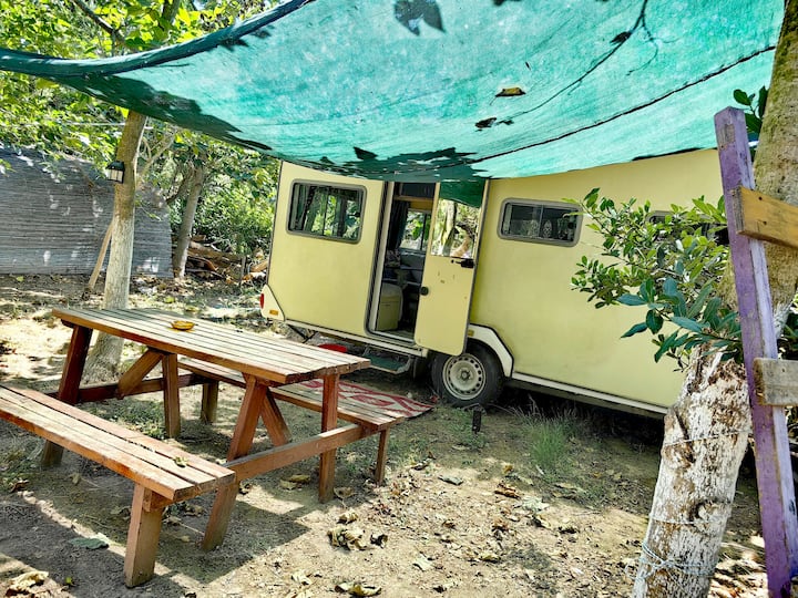 Gumuslukte Kampta Karavan Tatili - Akyarlar