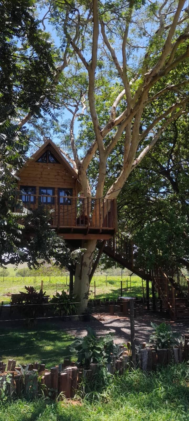 Casa Na áRvore Dream Tree House - Brazil