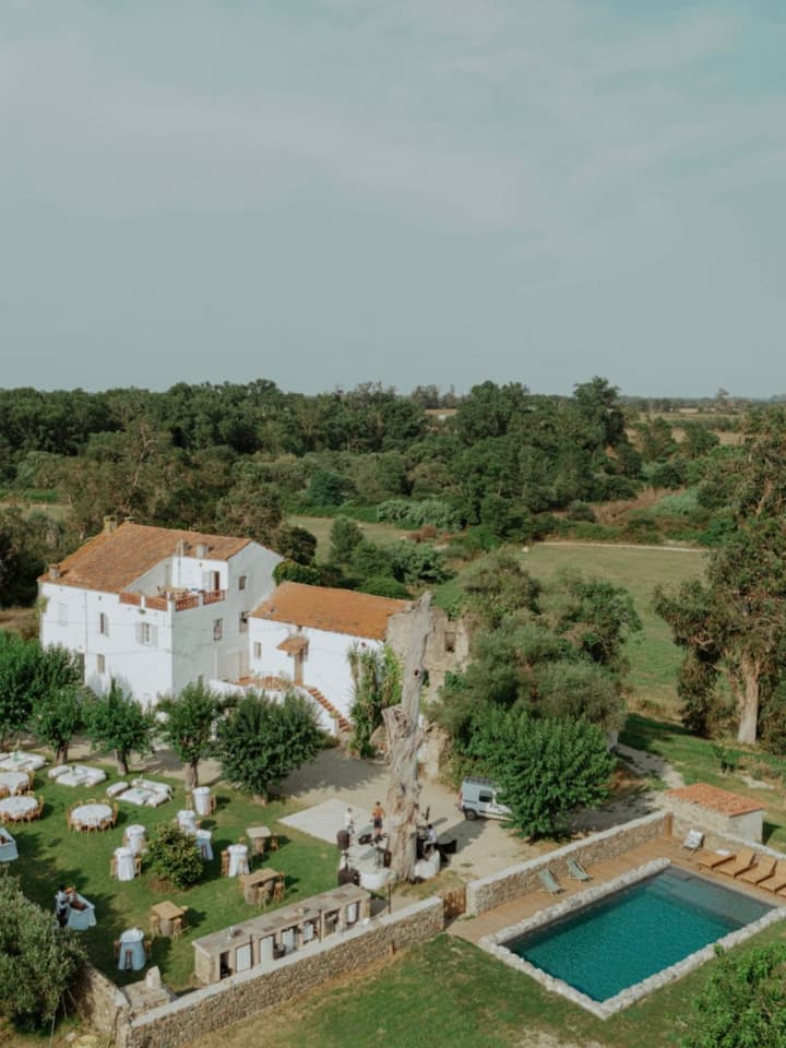 E Cotte | Domaine Marquiliani - Aléria