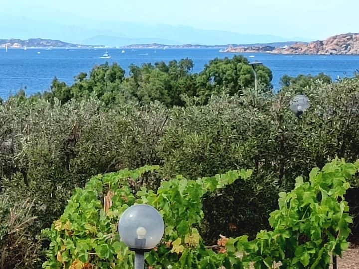 Incantevole Villa Fronte Mare A Palau - Palau