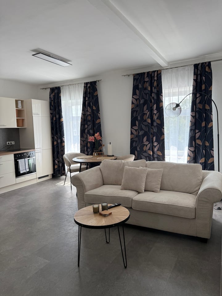 Zentrale Moderne Wohnung In Linz - Linz