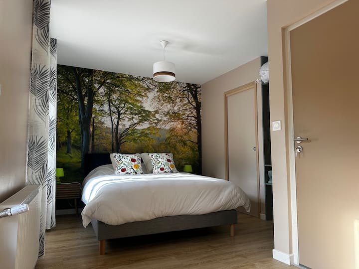 Ambiance Forêt, Salle De Bain Privée, Option Spa - Nancy