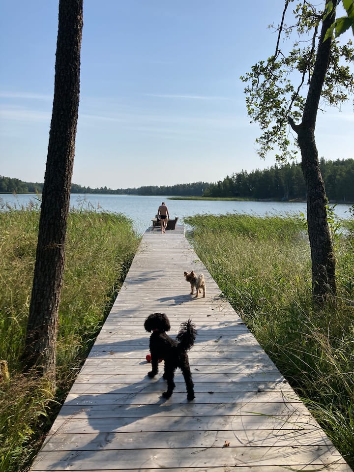 Sauna, Meri, Oma Ranta, Maisema - Lokalahti