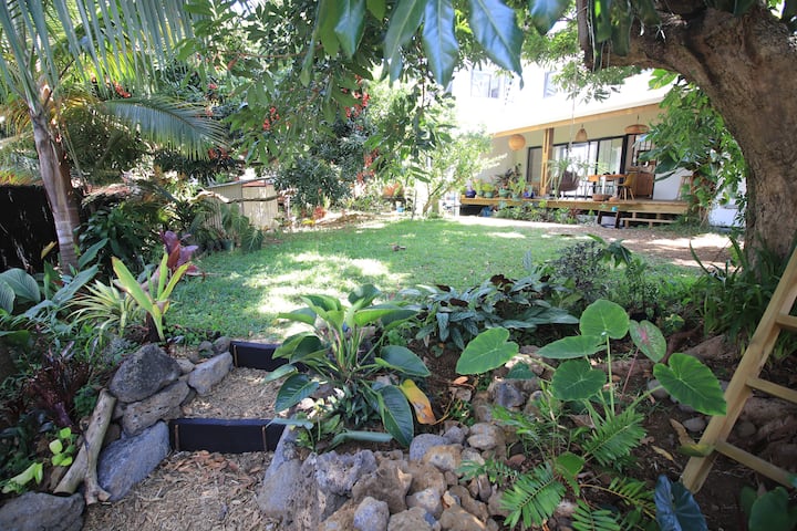 Ecolodge Du Tampon - Saint-Pierre