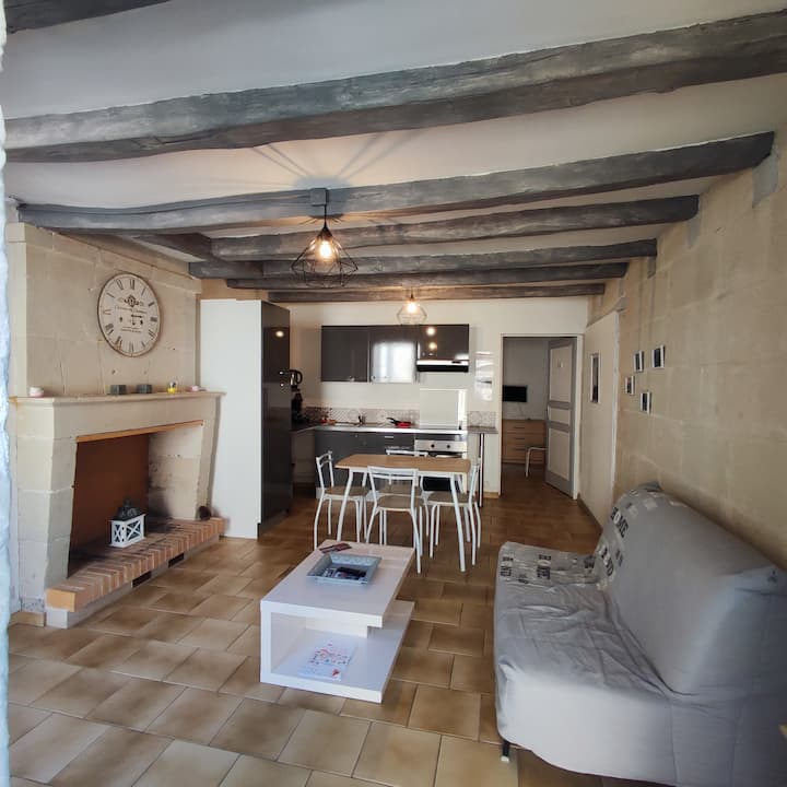 T2 Cosy Au Rdc, Centre Historique - La Roche-Posay