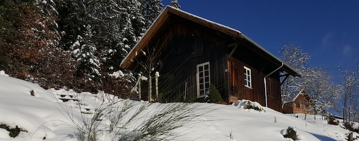 Le Chalet Du Bouleau. - Moselle