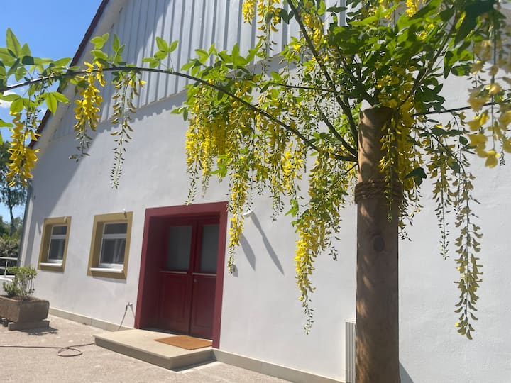 Offene Wohnung - Halle