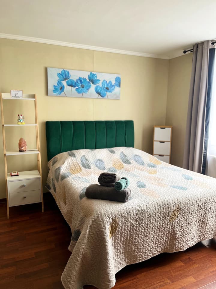 Acogedor Studio En Santiago-ñuñoa - Ñuñoa