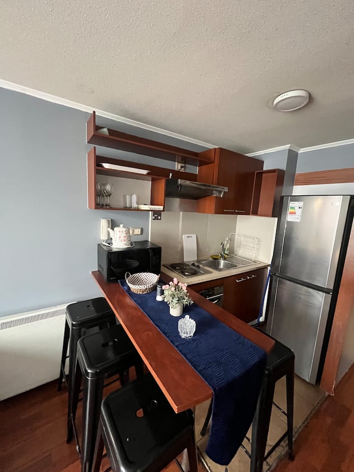 Arriendo Por Día Piso 12 - Santiago