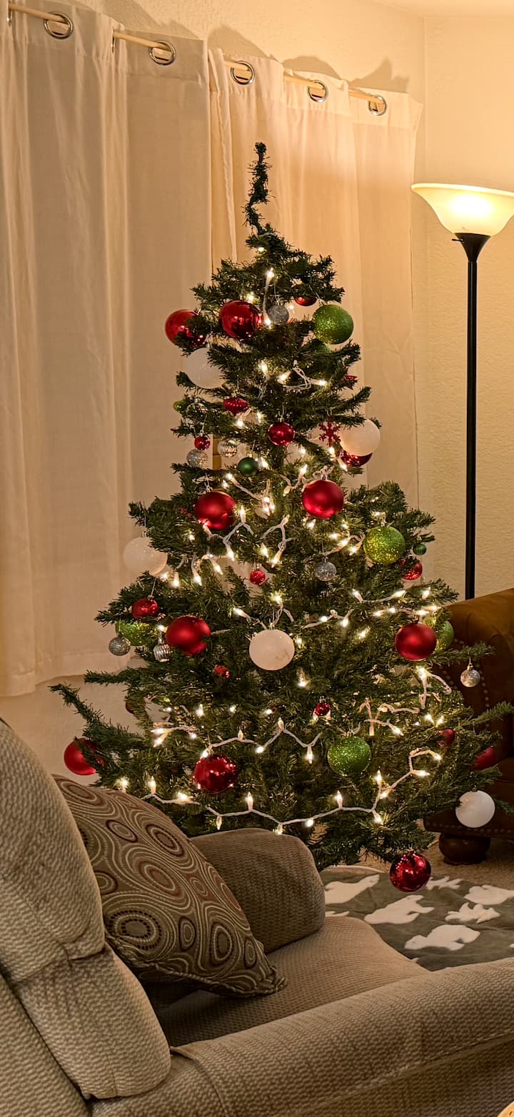 Affordable Holiday Getaway! Cozy, Snowy Adventure! - Ponderosa State Park, McCall