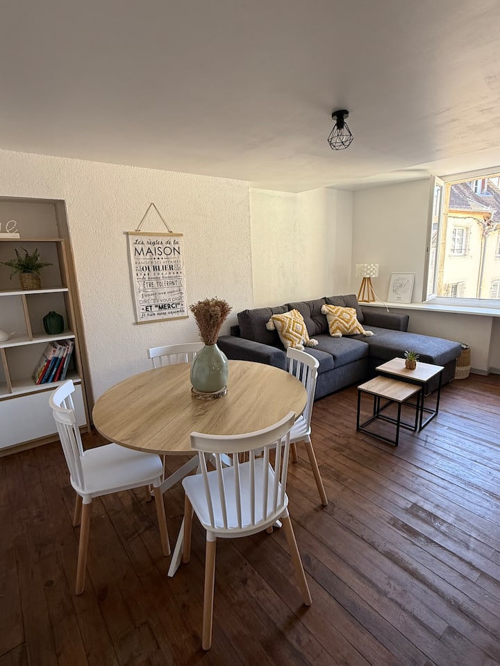 Appartement En Centre-ville - Dole