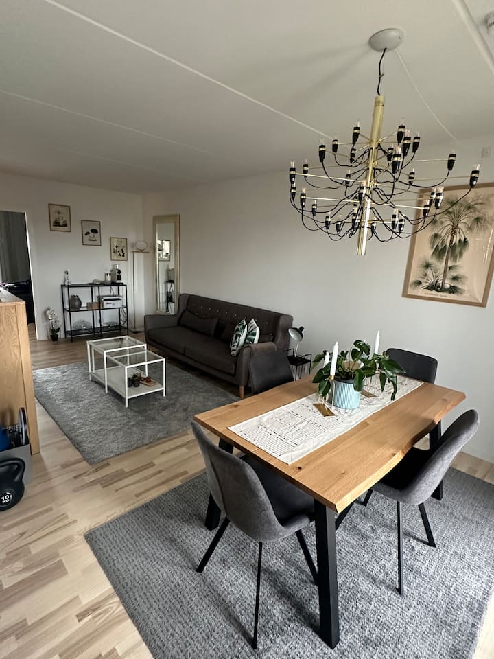 Bonito Apartamento - Copenhague