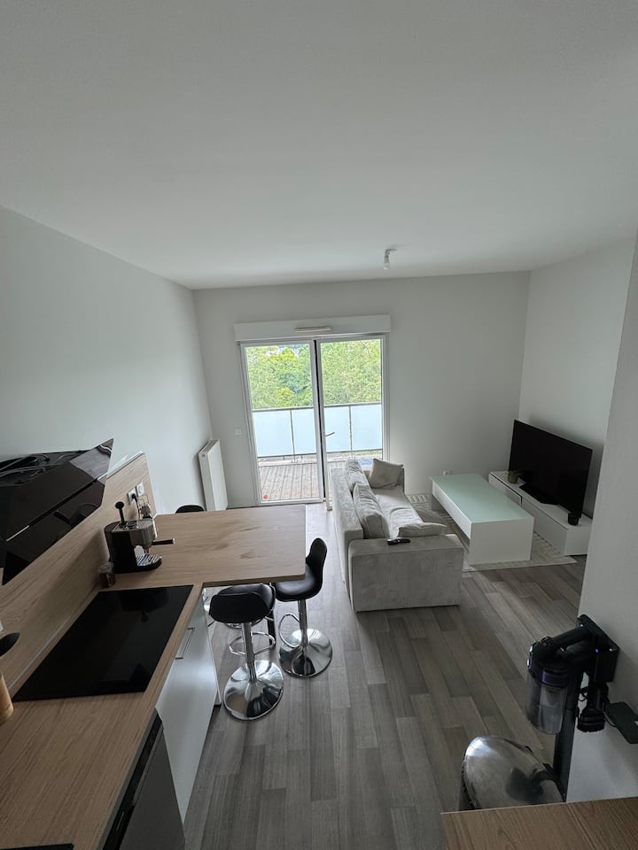 Charmant Appartement Avec Balcon - Rennes