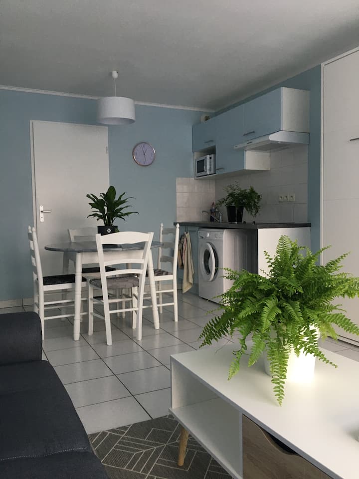 Charmant Studio Proche Gare- Parking Privatif - アラス