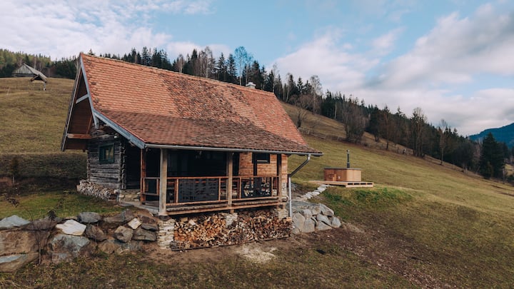 Wildernest In The Carpathians - Transylvania