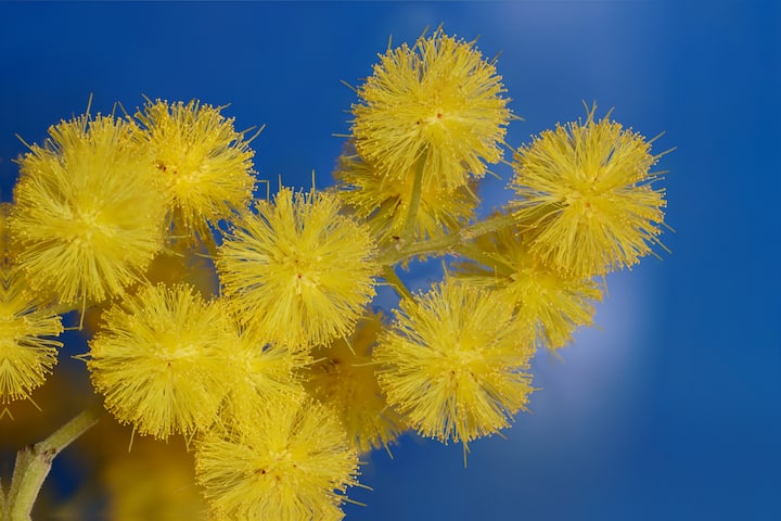Chambre 1 à La Vernatelle - Bormes-les-Mimosas