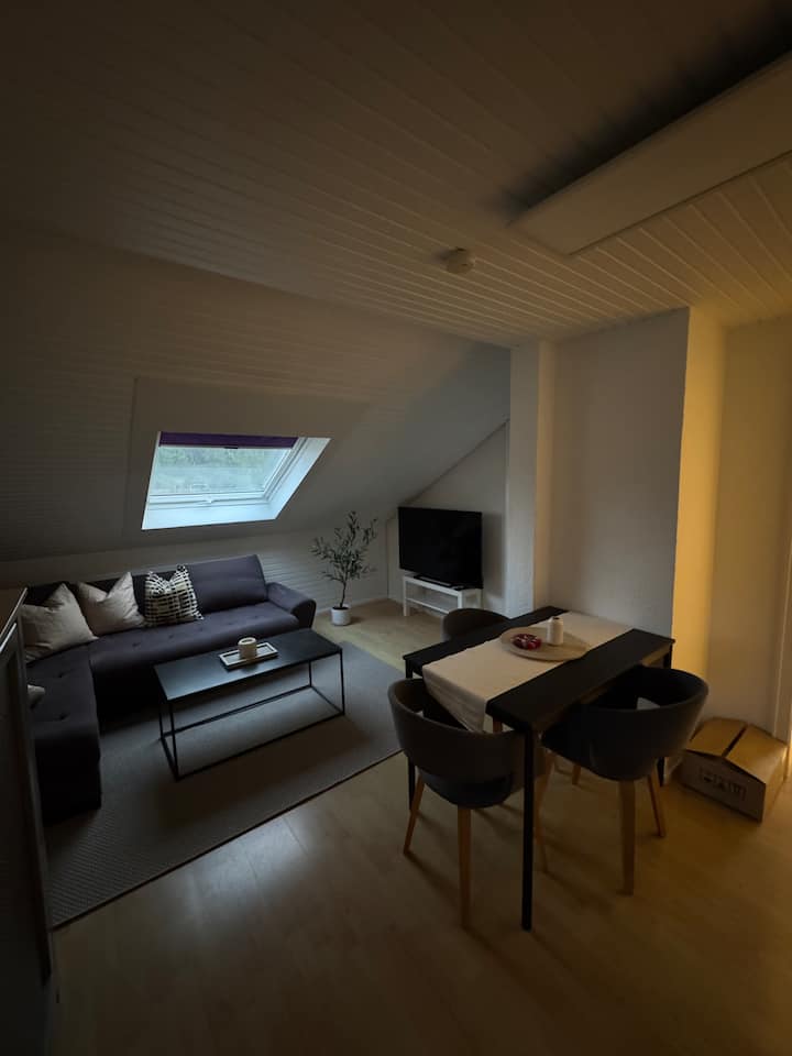 Ruhige 60 M²-ferienwohnung Mit Self-check-in - Sinsheim