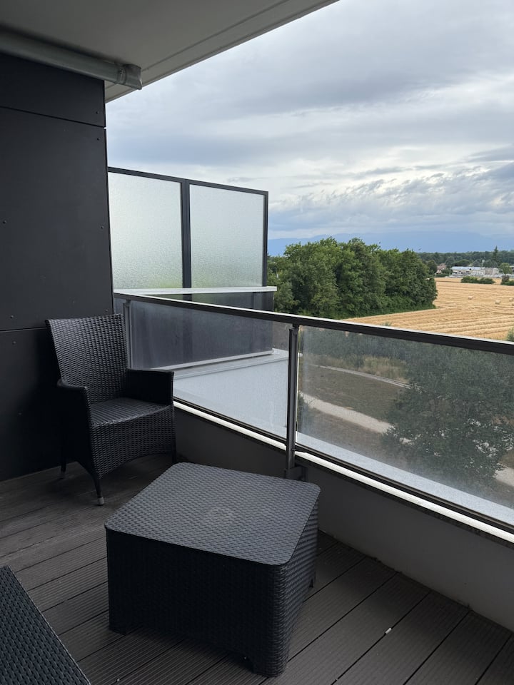 Joli Appartement Calme à 5mn De Genève - Ibis Styles Annemasse Genève