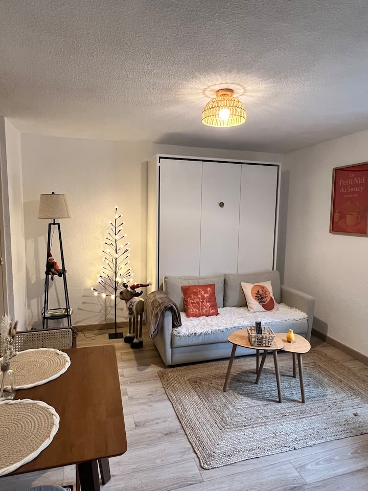 Le Petit Nid Du Sancy Parking Privé Draps Compris - Puy de Sancy